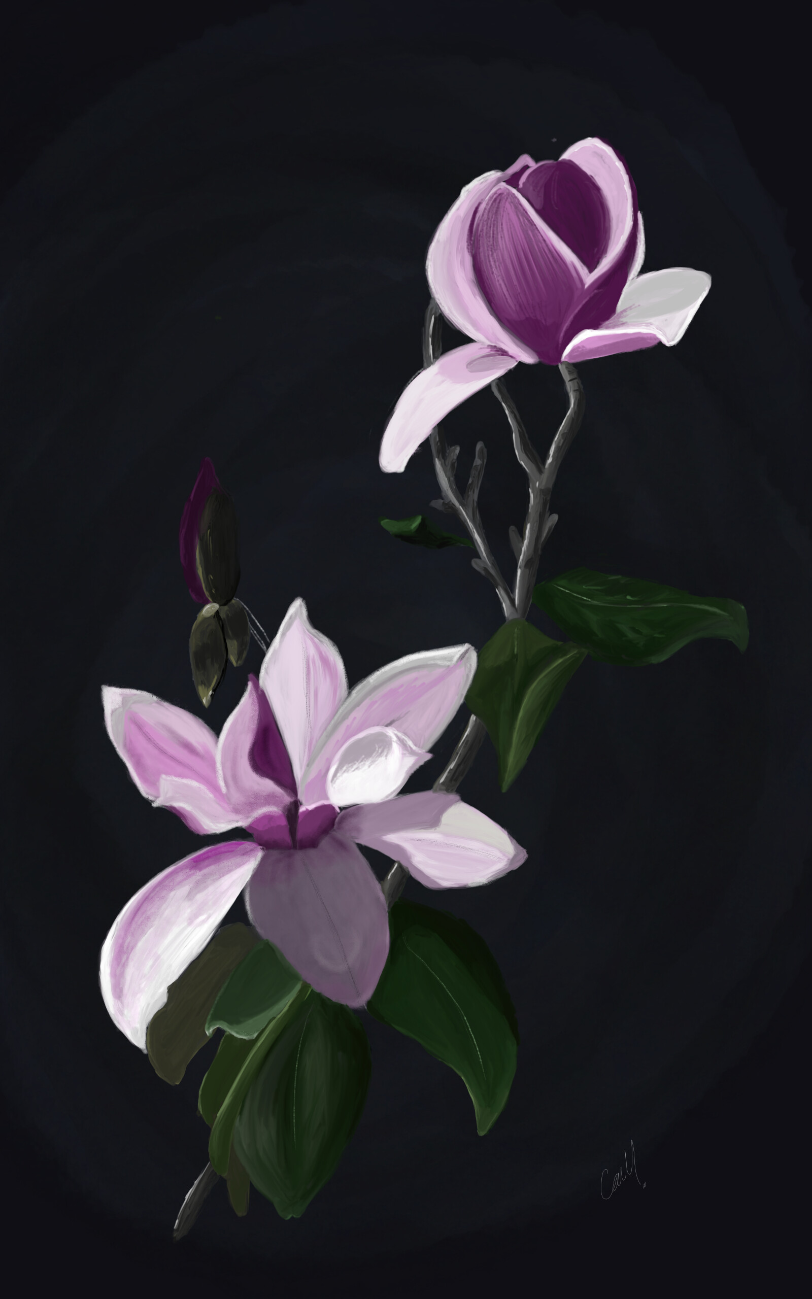 ArtStation - Flowers