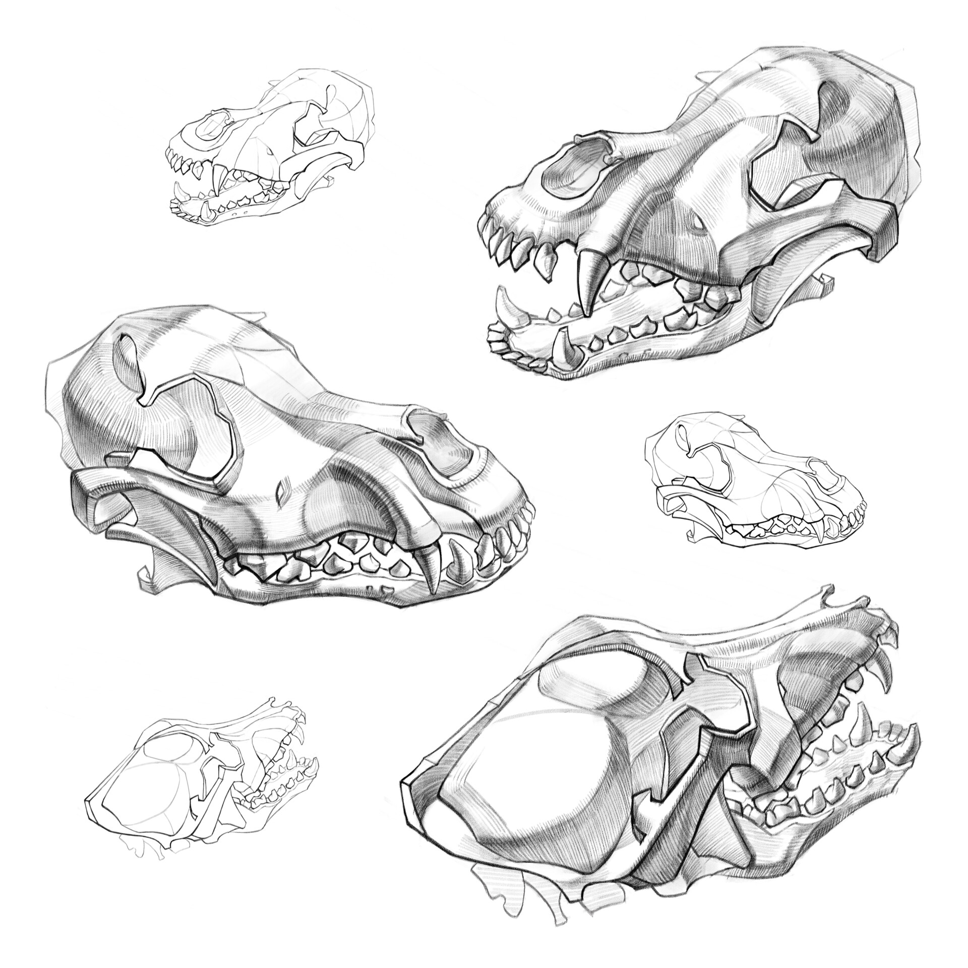 ArtStation - Drawing practice