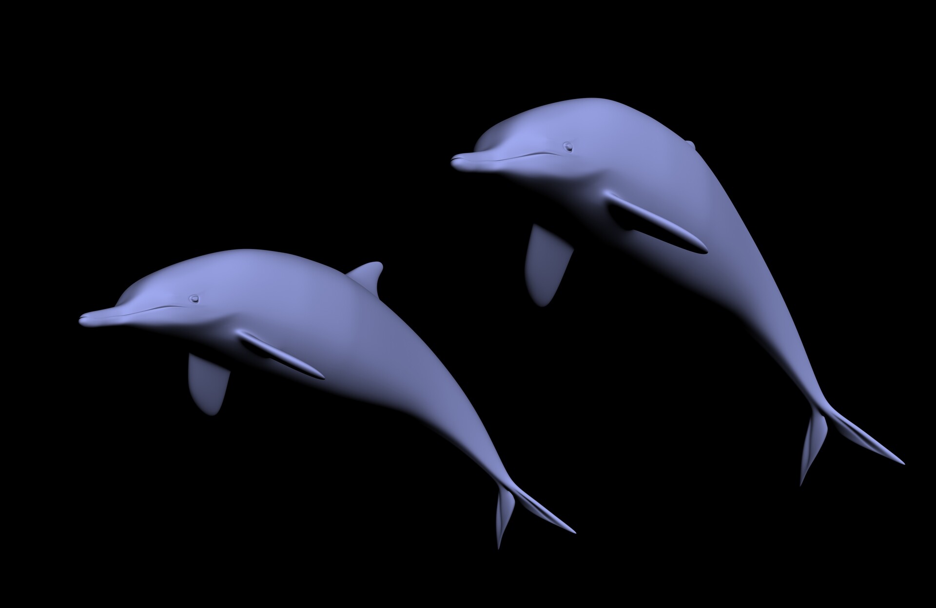 ArtStation - High poly Dolphin Model