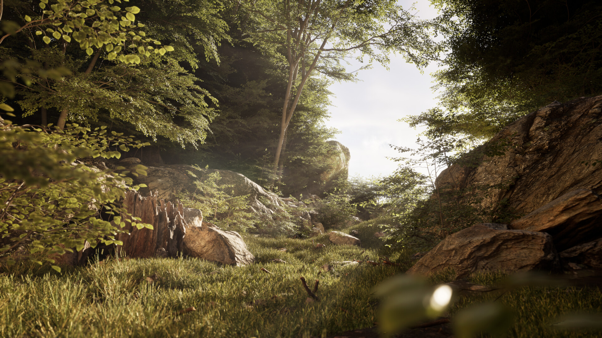 ArtStation - Path Through The Forest