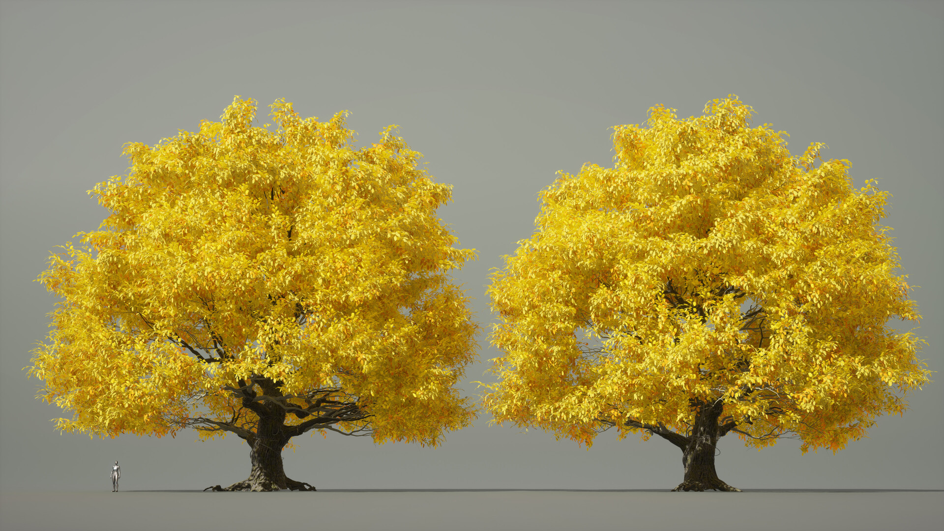 ArtStation - UE5 Tree test