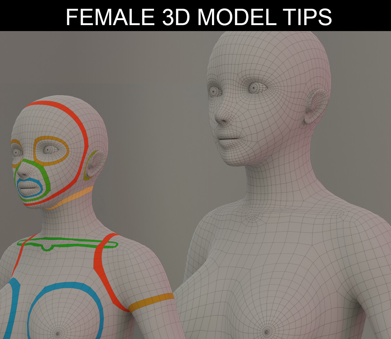 ArtStation - Female 3D Model Tips
