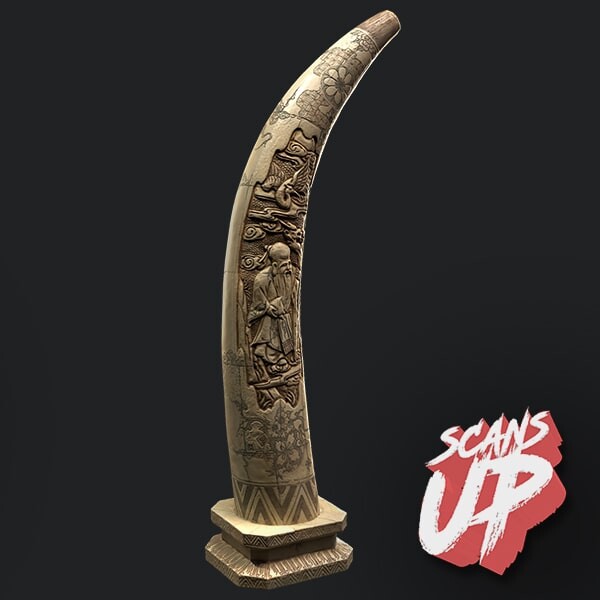 ArtStation - ScansUp: Decorative Tusk