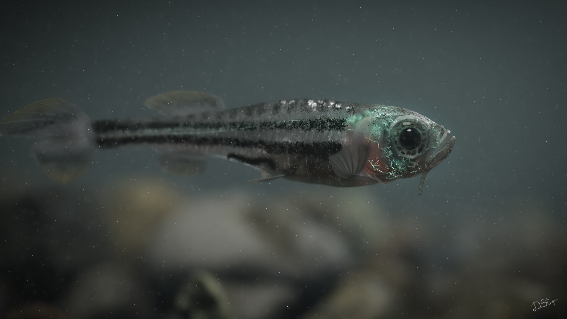 ArtStation - Zebrafish