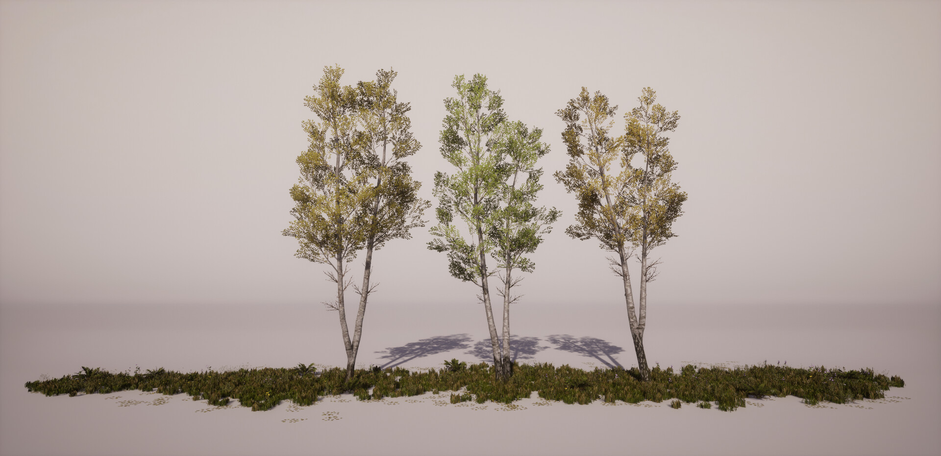 ArtStation - Birch Tree Set