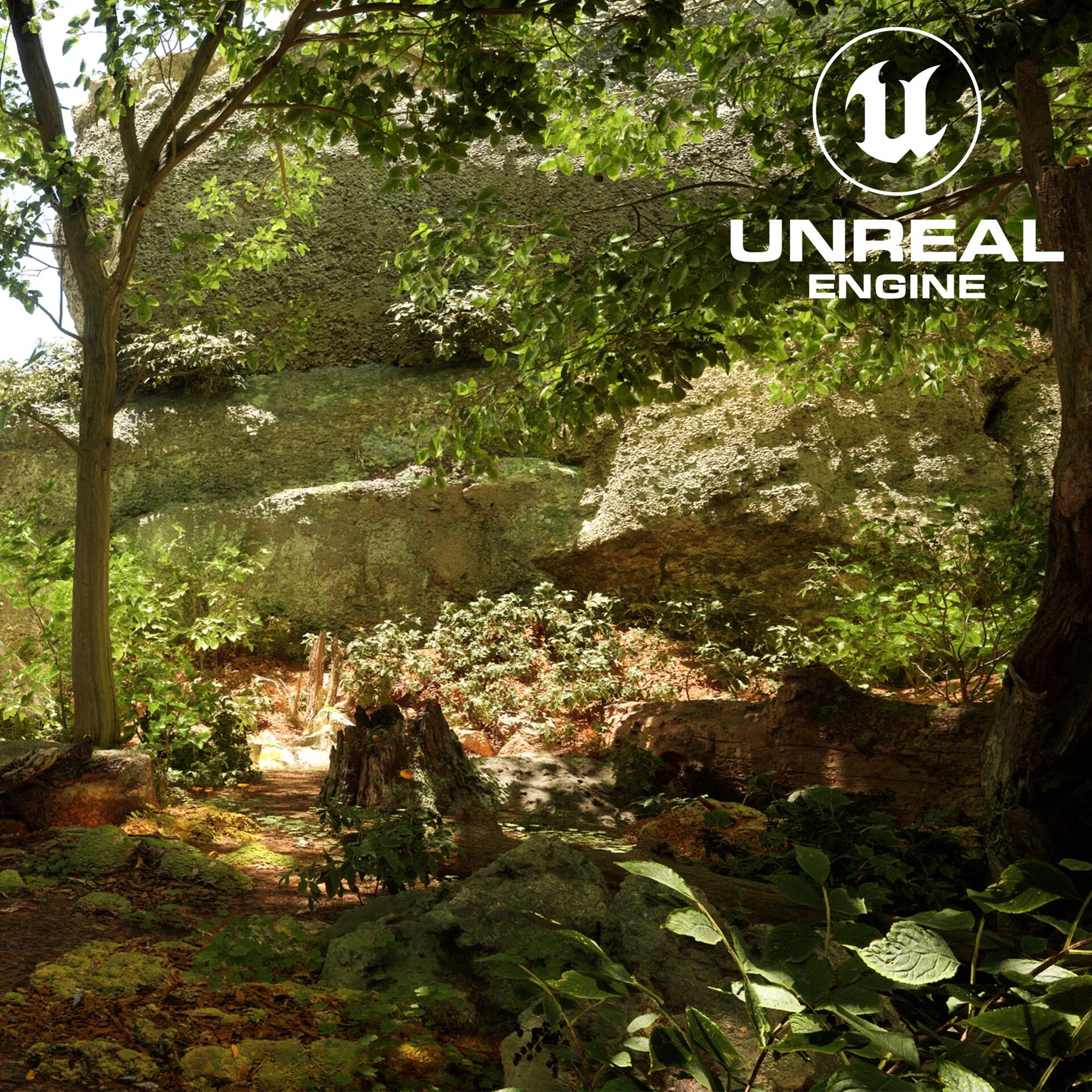 ArtStation - Unreal Engine 5 - Forest cinematic