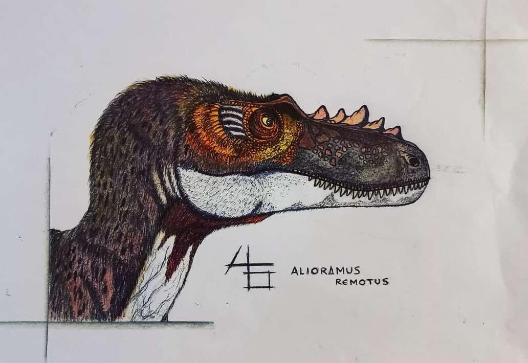 ArtStation - Alioramus remotus (Rama diferente remota) - Hembra / 2021