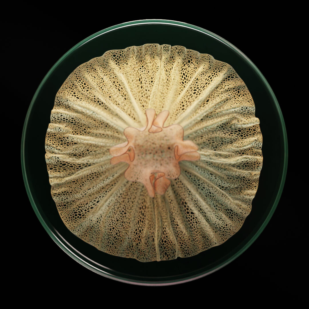 ArtStation - Harvestr: Mycelia Growth