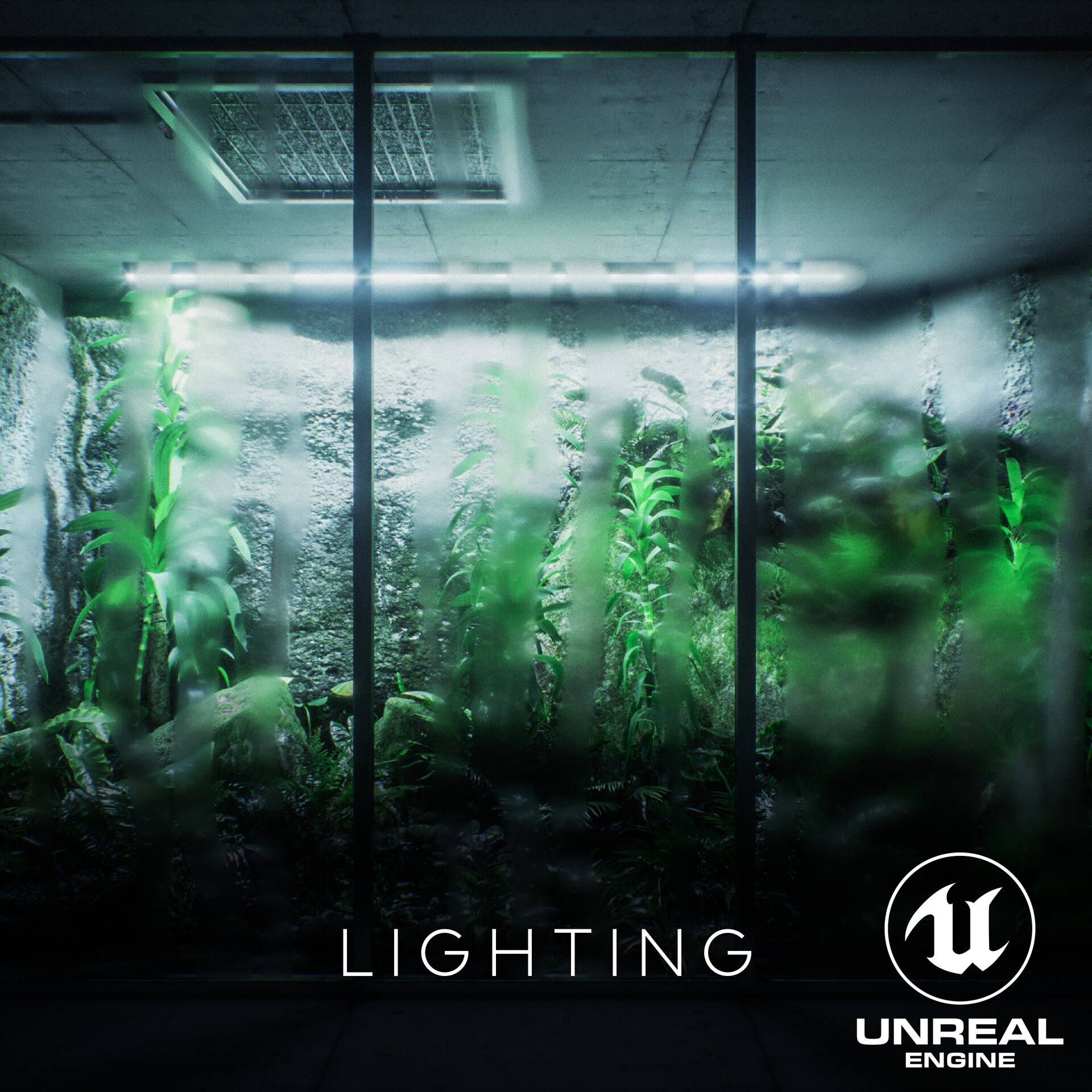 ArtStation - Terrarium (Rain Garden) | Lighting (UE5)