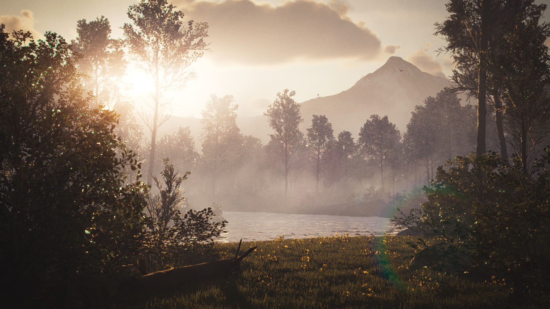 ArtStation - Realistic Forest in Unreal Engine 5