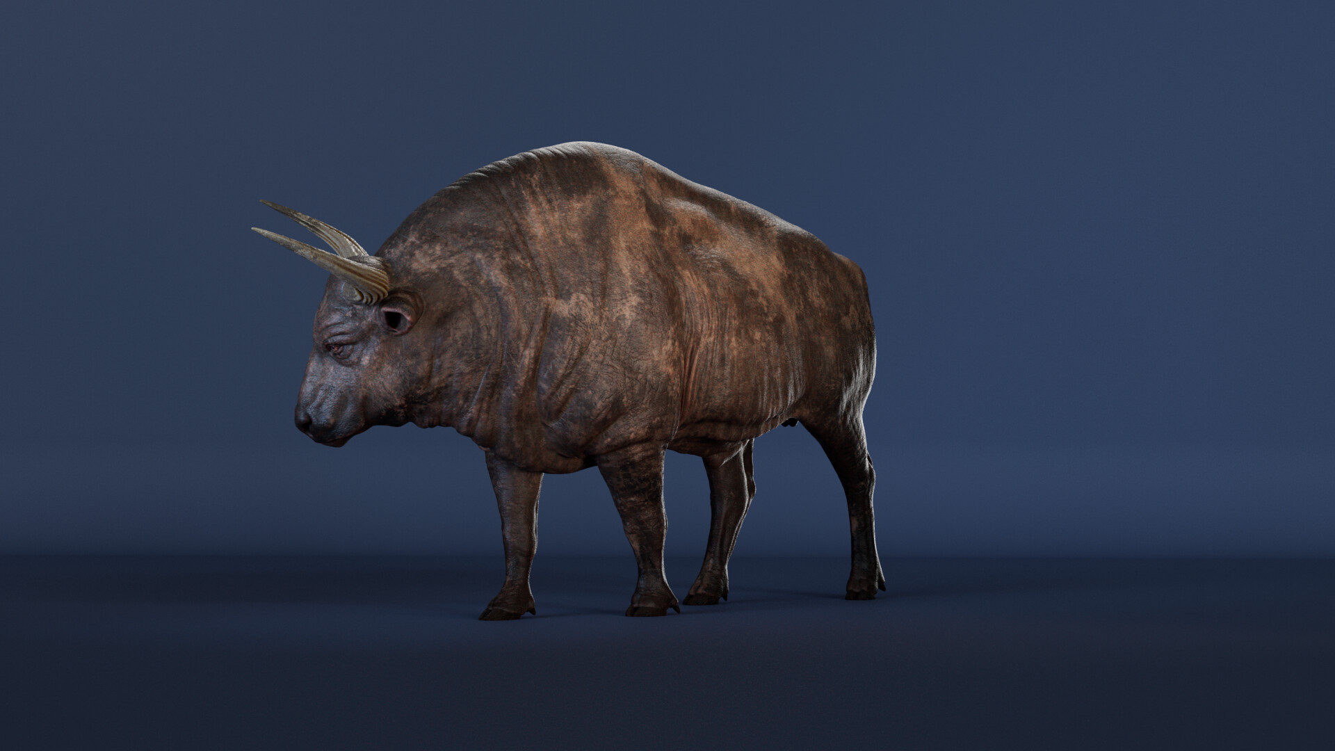 ArtStation - Anatomy study - Bison Latifron