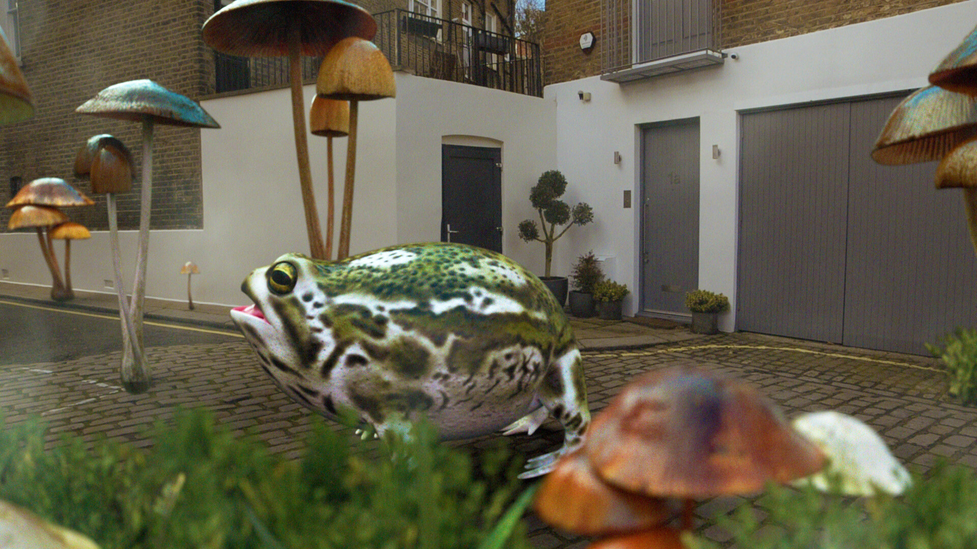 ArtStation - Dwelling Frog | Vfx BREAKDOWN