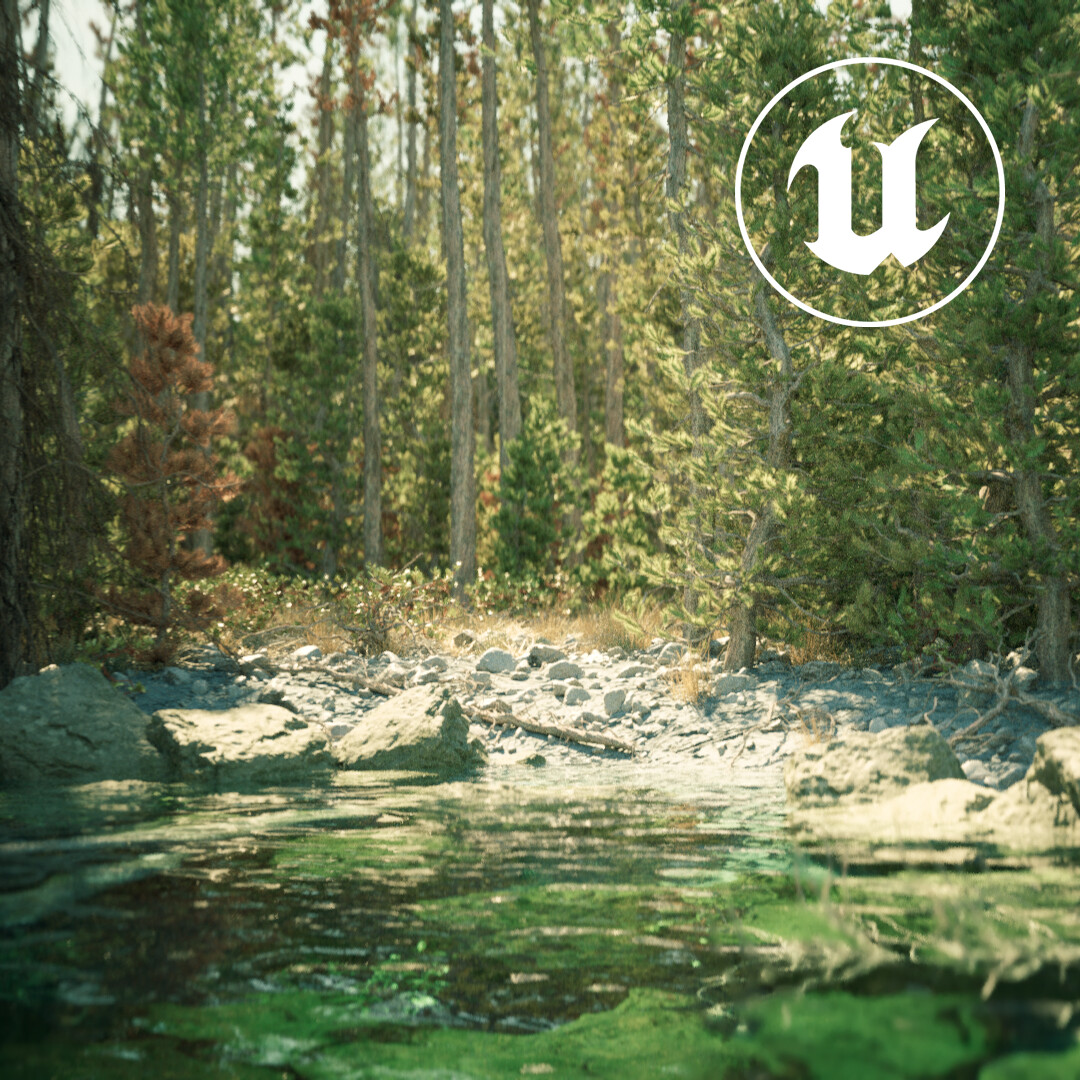 ArtStation - Last Time I Saw The Creek - UE5 Path Tracer & PCG