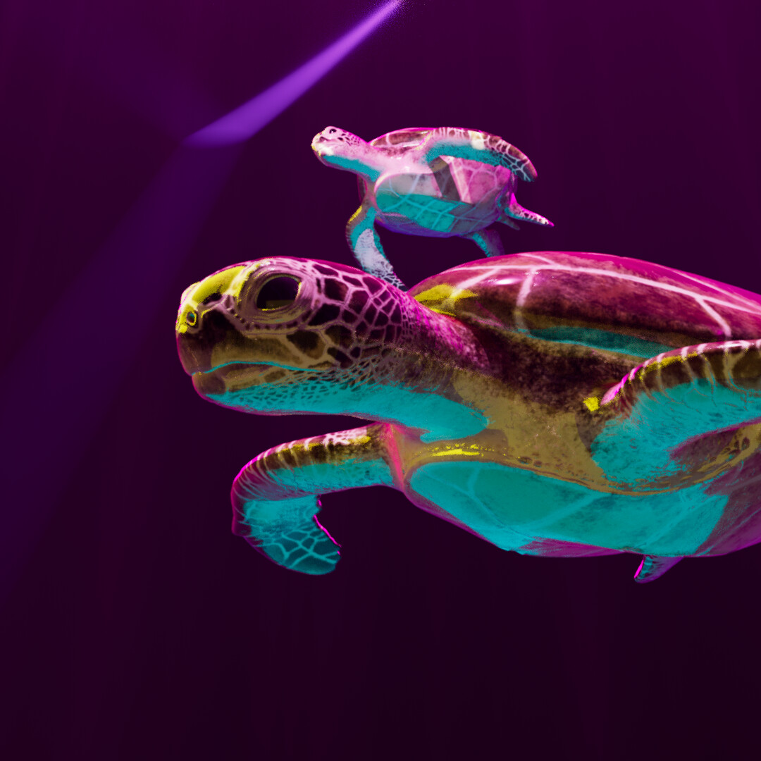ArtStation - Purple Turtle