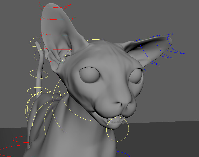 ArtStation - Sphynx Cat Rig (Work In Progress)