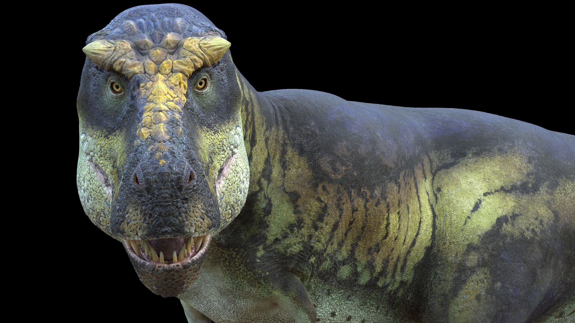 ArtStation - Victoria T-rex: Close Ups and Other Renders