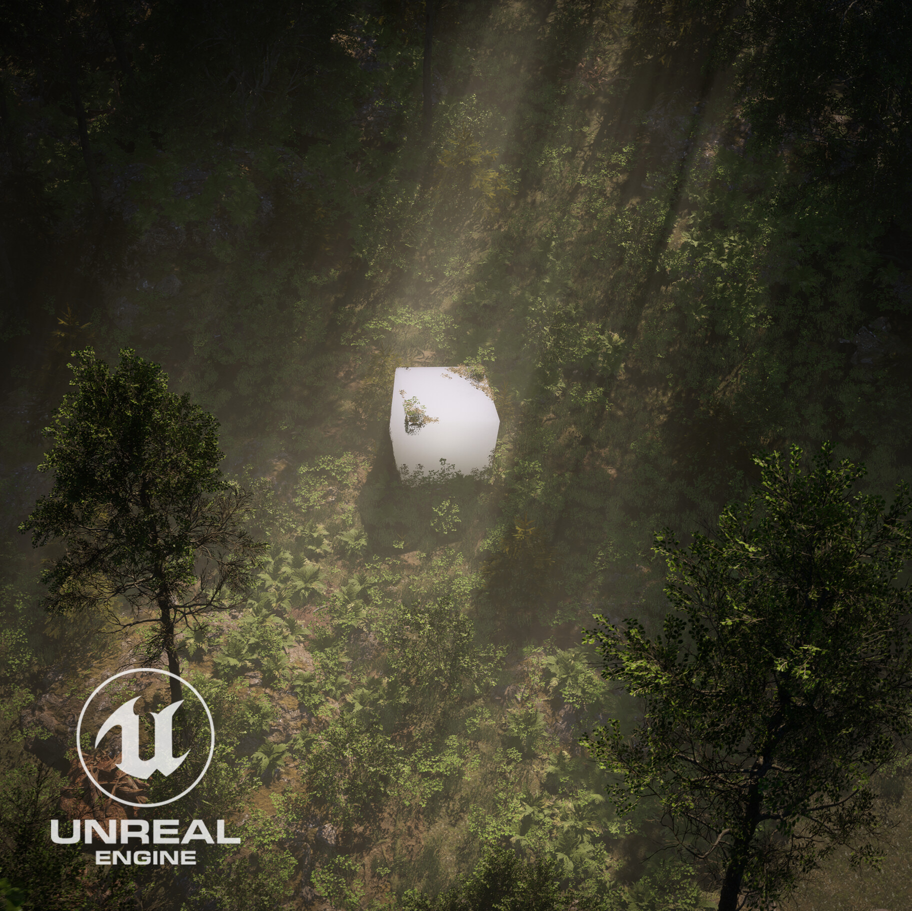 ArtStation - Forest Cube
