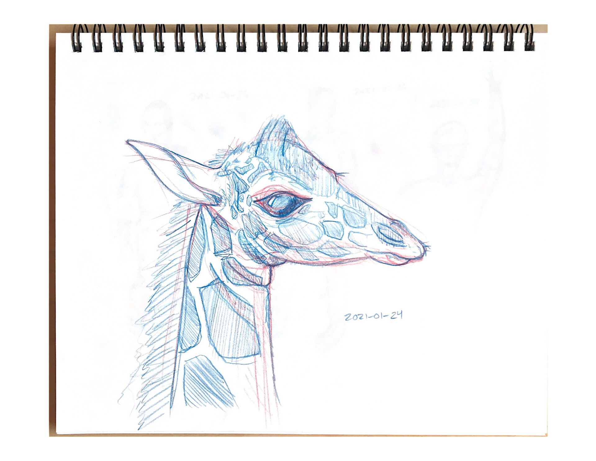 ArtStation - Sketches