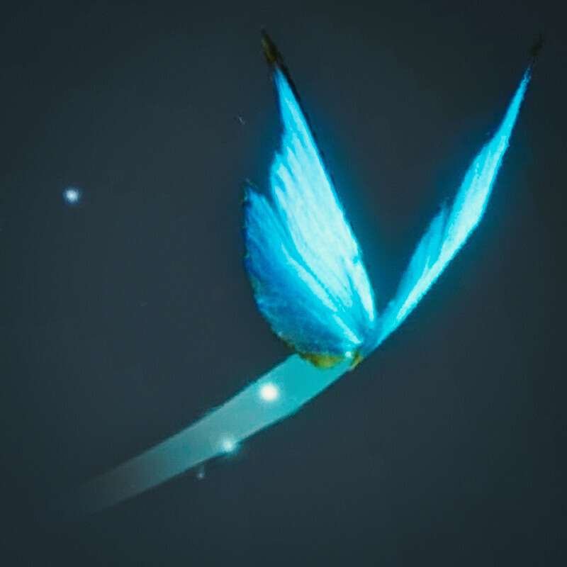 ArtStation - [P2Design] Butterflies Tutorial