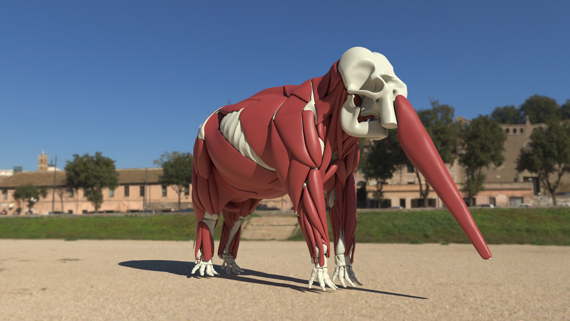 ArtStation - Samrat Prithviraj - Elephant: Anatomy And BaseMesh