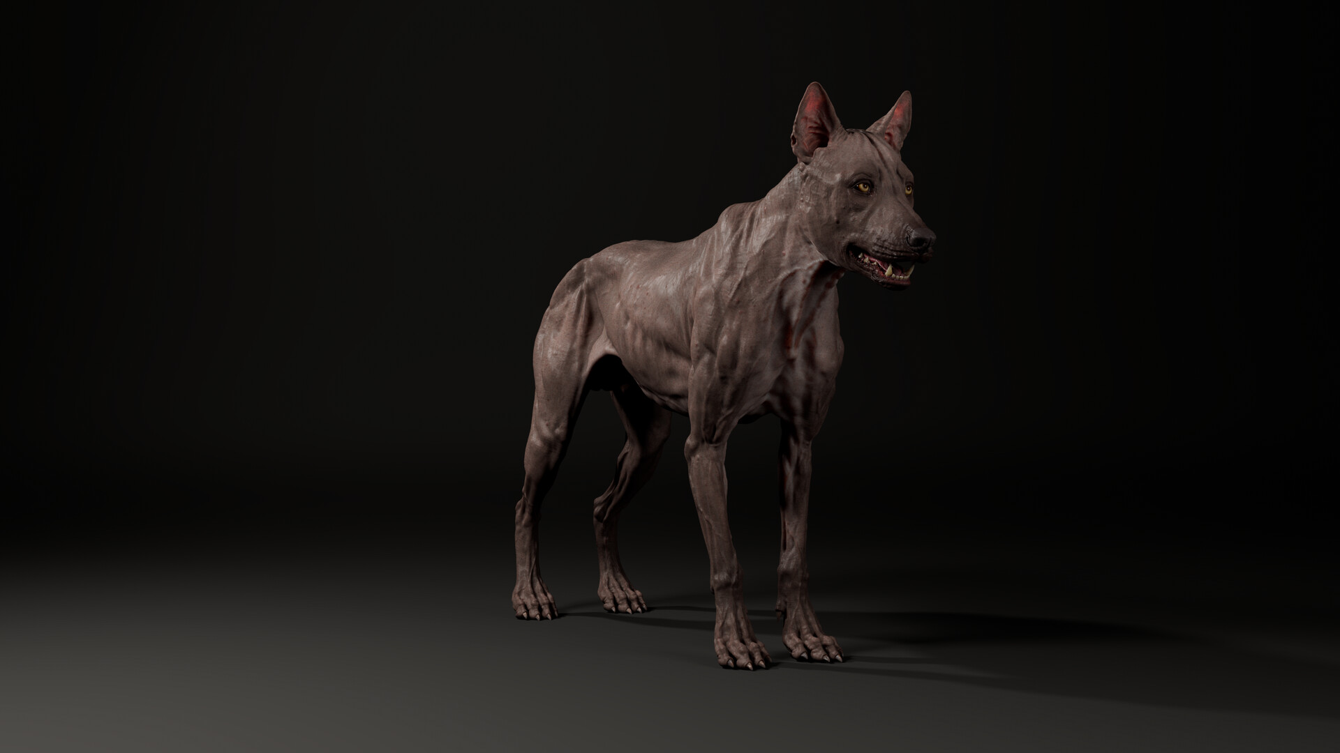 ArtStation - Wolf Texture