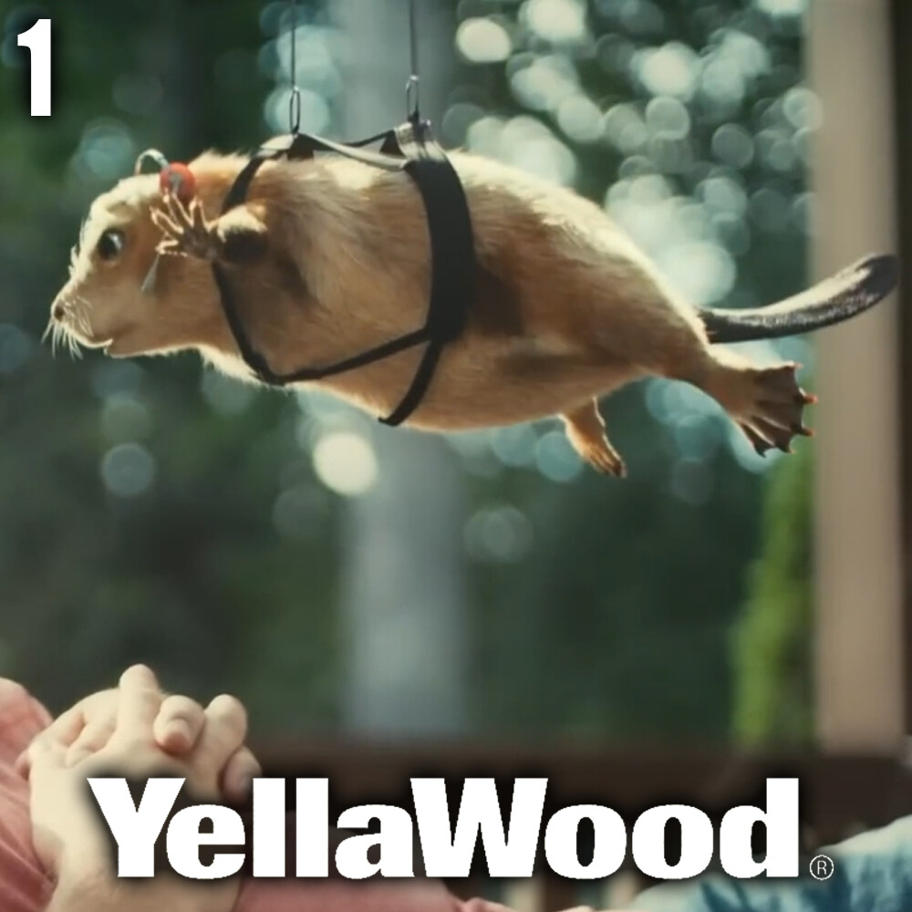 ArtStation - The woodland most wanted : Save the heist | Jr Groom TD ...