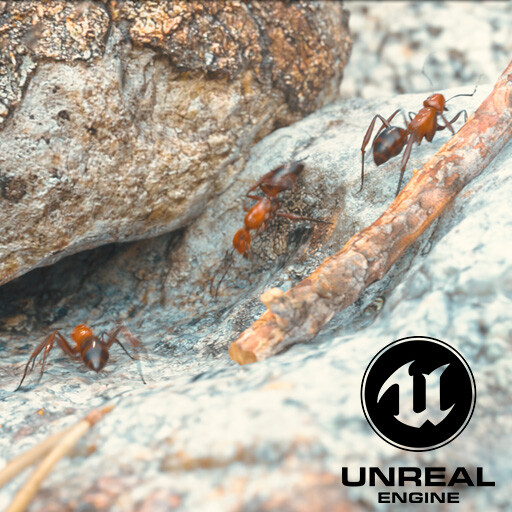 ArtStation - Ants on the stone.