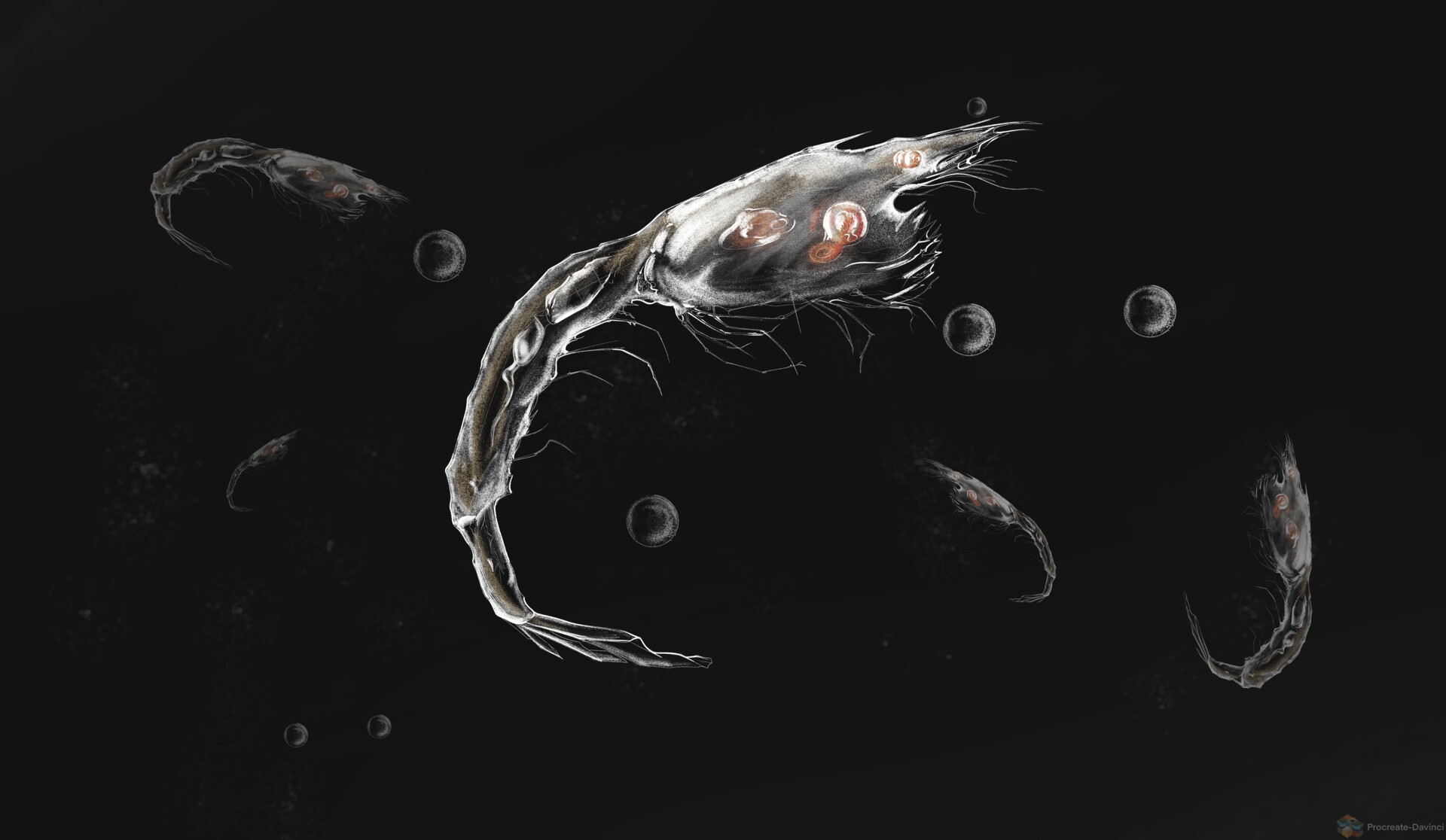 ArtStation - plankton drawing