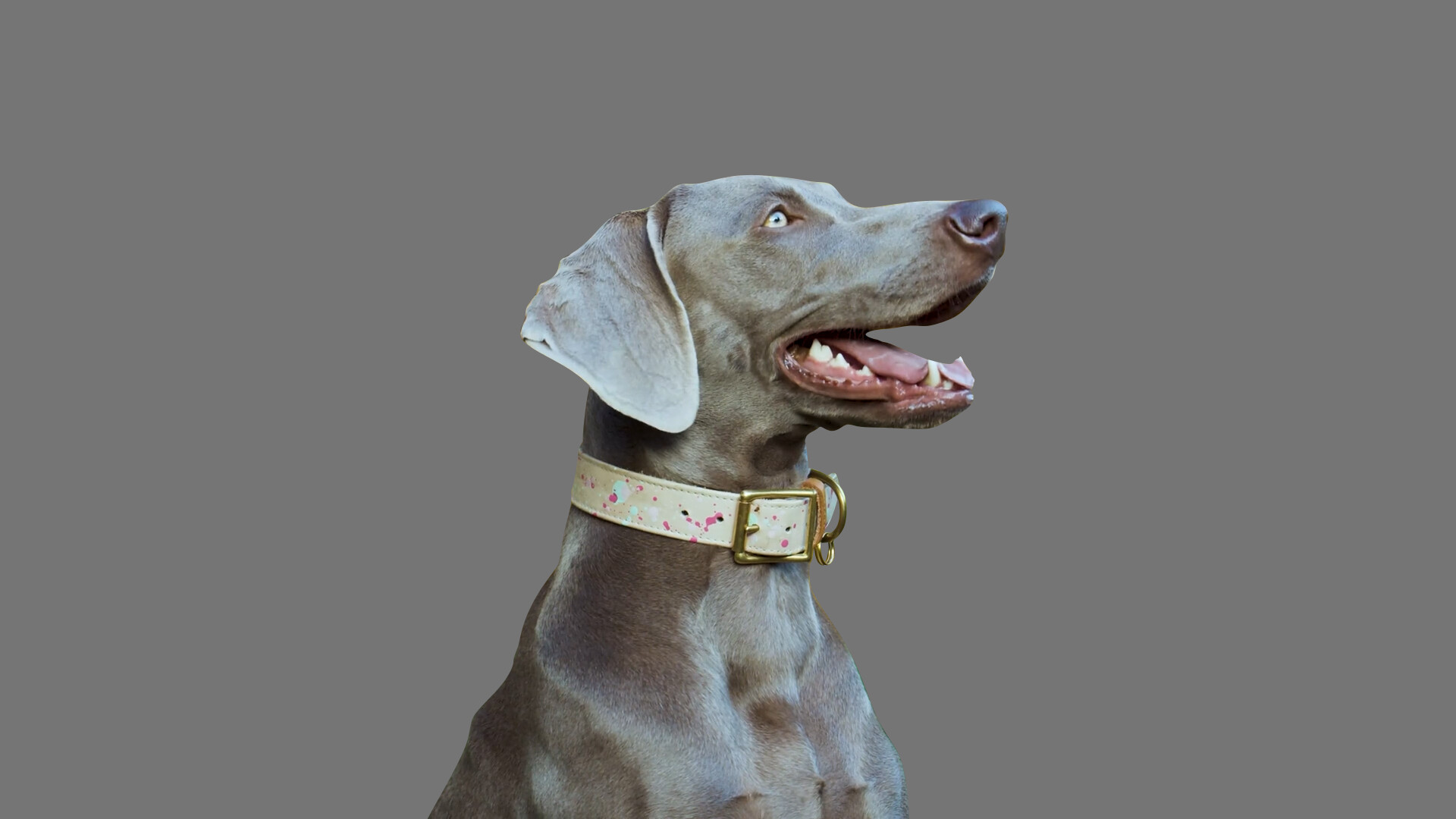 ArtStation - ROTO PAINT - SILHOUETTE