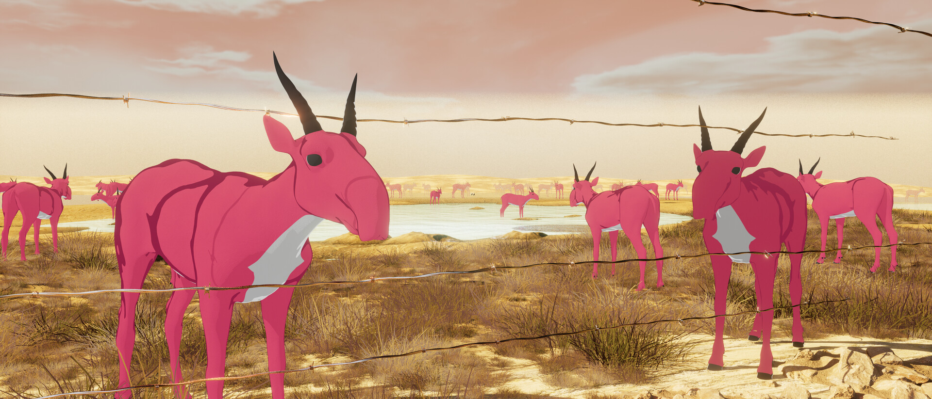 ArtStation - Animal animation