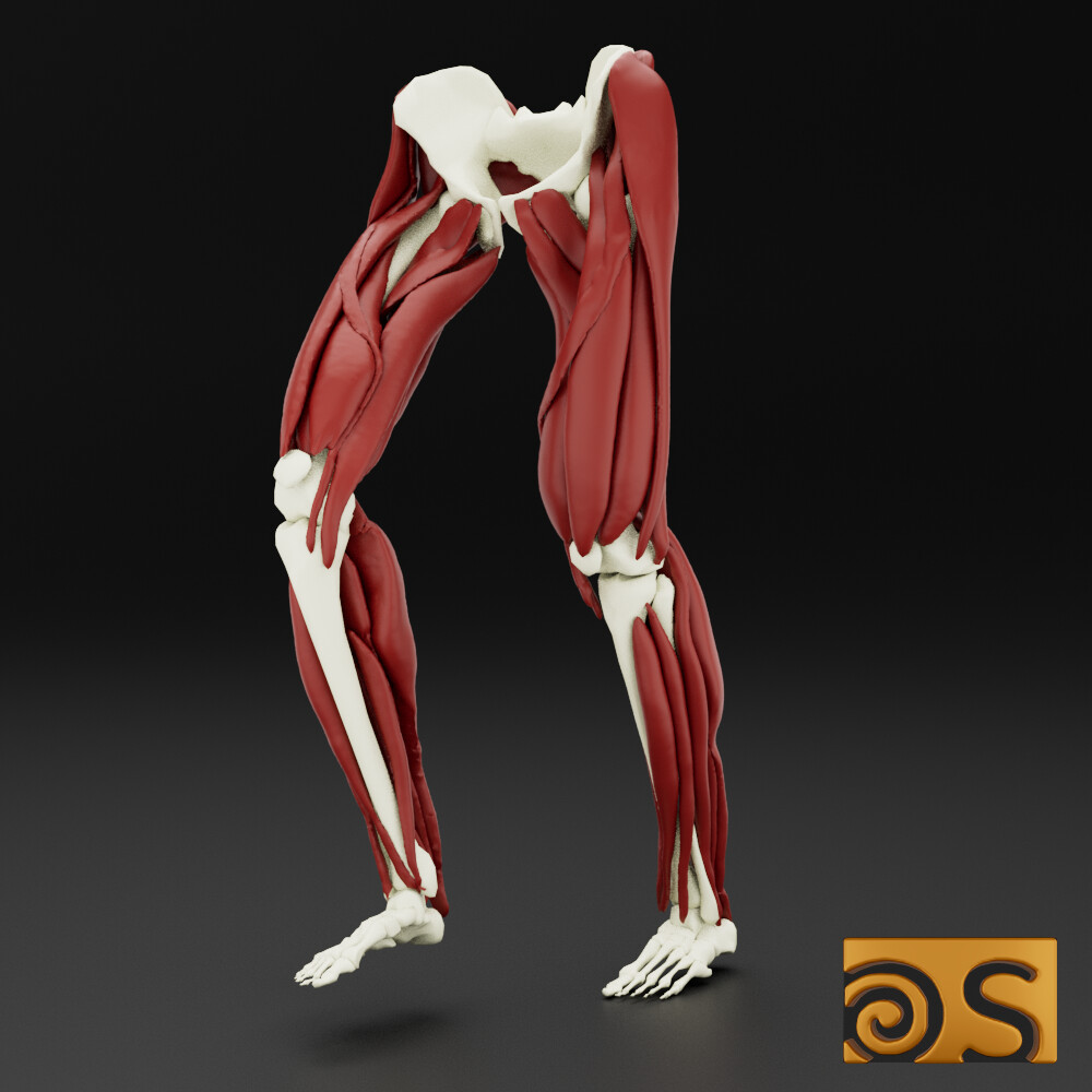 Houdini Vellum Muscle at Armand Hudson blog