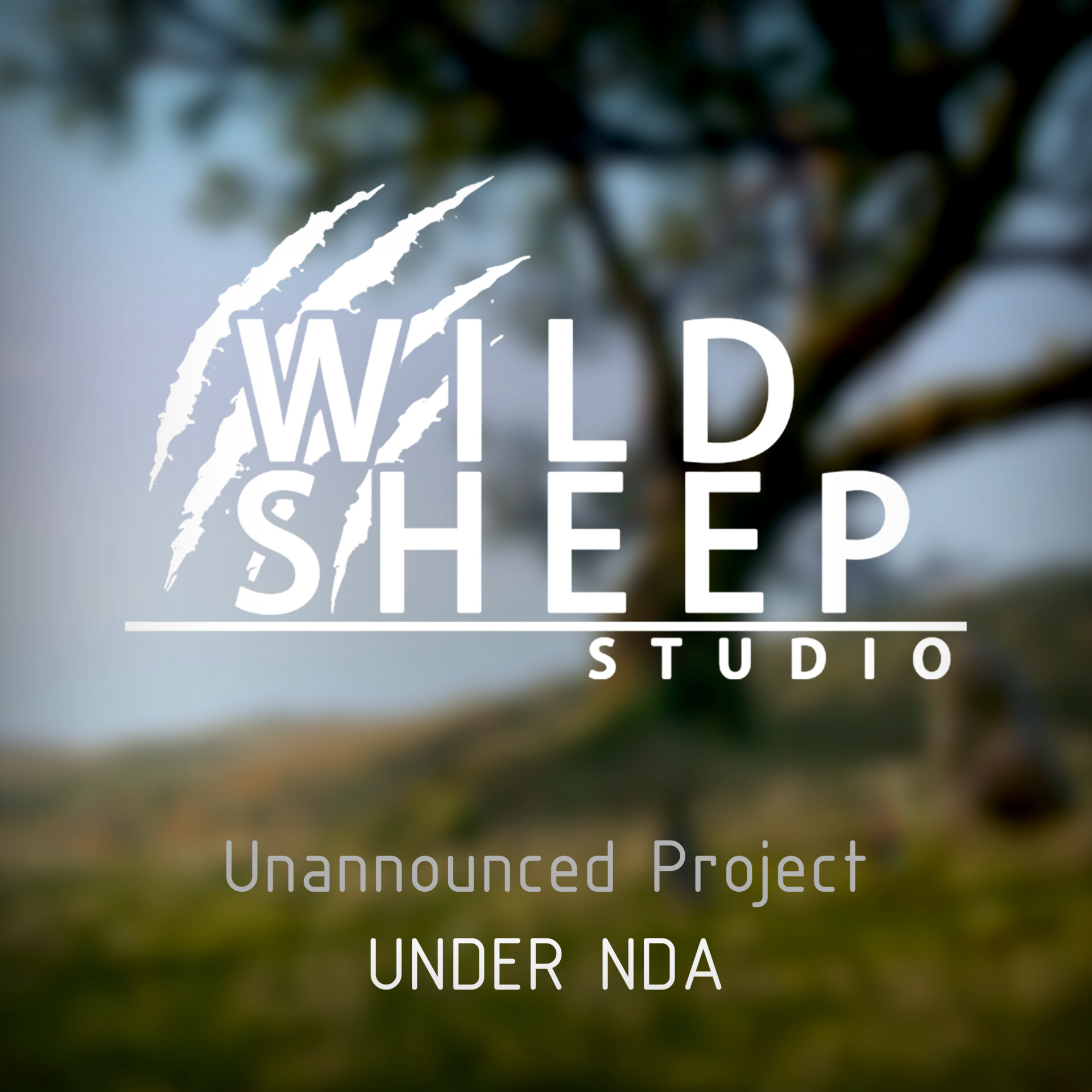 ArtStation - Level Art - Unannounced Project - Wild Sheep Studio