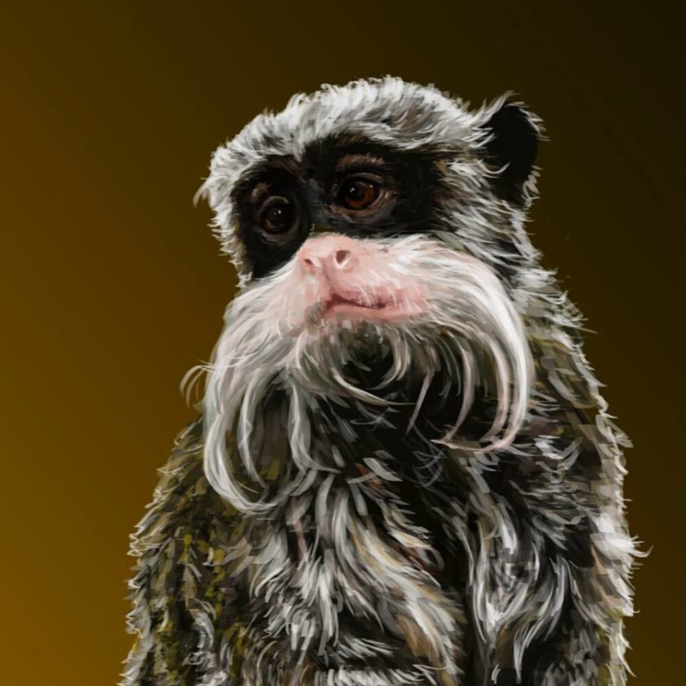 ArtStation - Drawing Practice - Emperor Tamarin