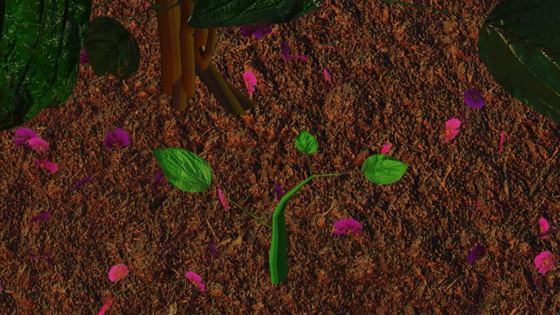 ArtStation - Plant Animation with Flower drop