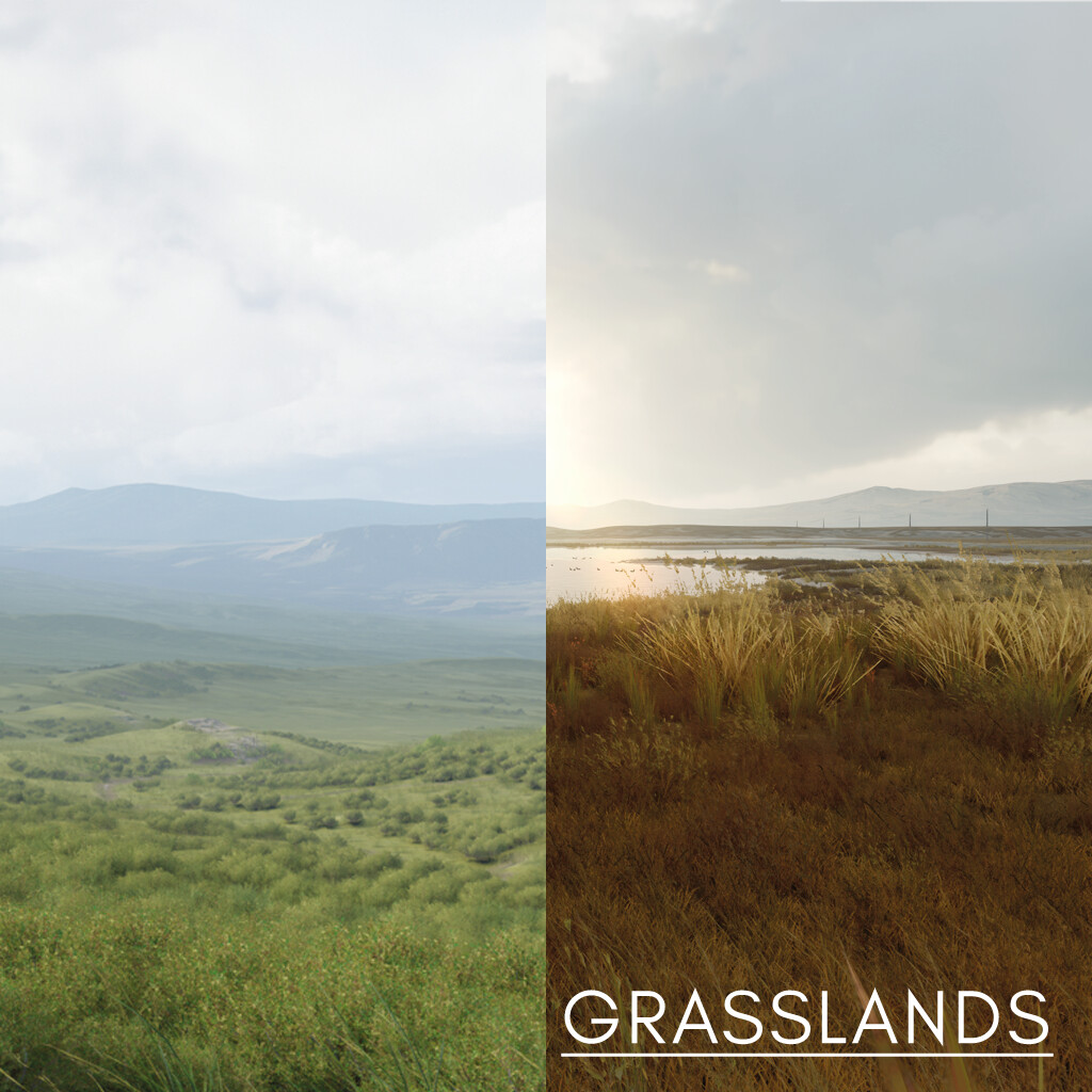 ArtStation - Seasonal Grasslands / Realtime Environment