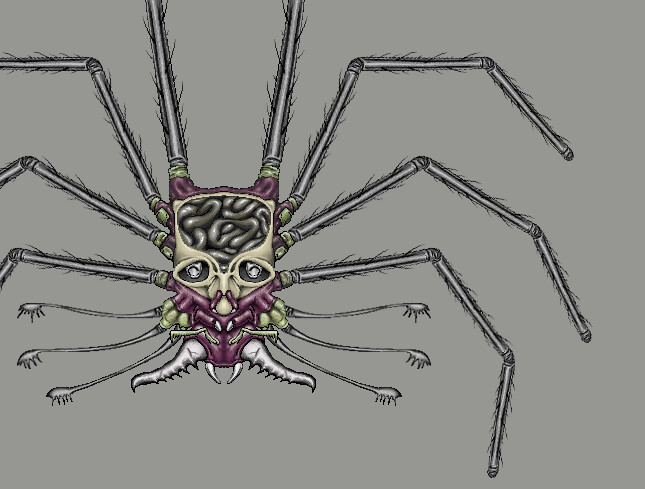 ArtStation - enemy insect Sprites