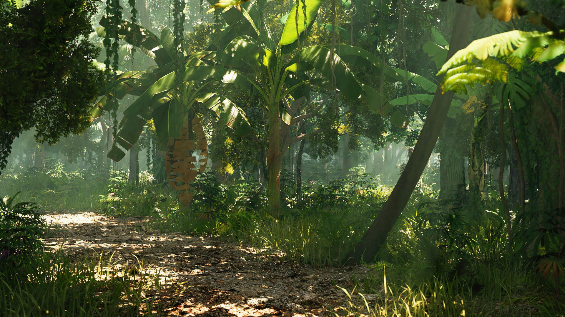 ArtStation - Tropical Jungle or Forest Road