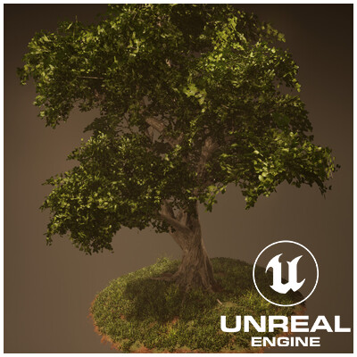 ArtStation - One Week Project - Tree Creation