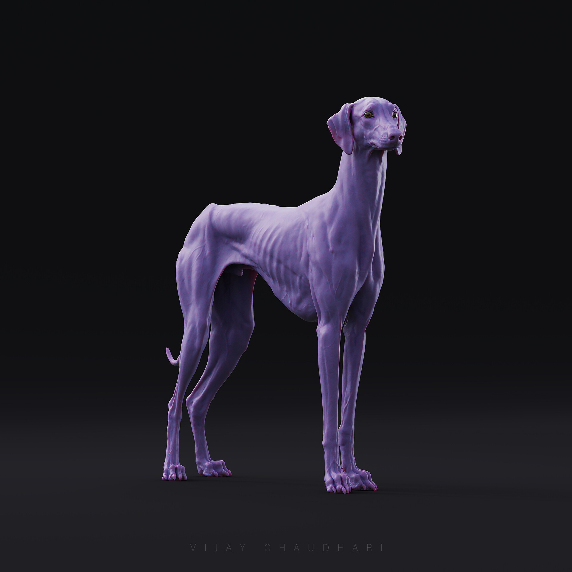 ArtStation - Greyhound