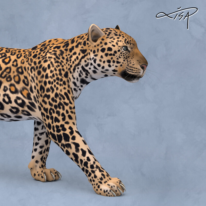 ArtStation - Leopard Realistic Walk Cycle