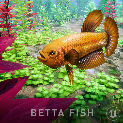 ArtStation - Betta fish