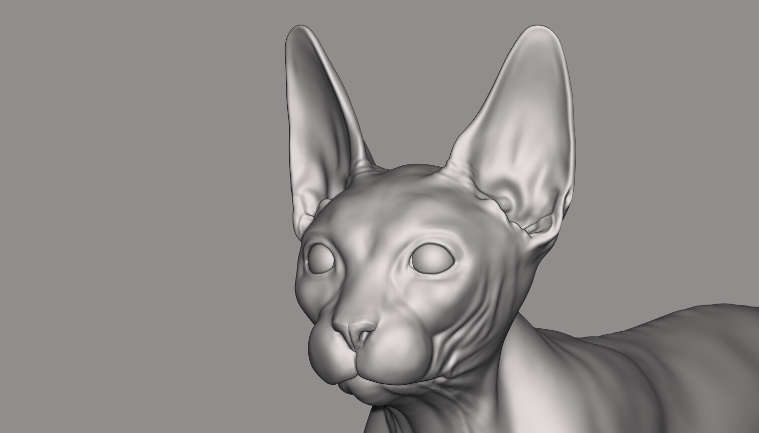 ArtStation - Sphynx Cat WIP