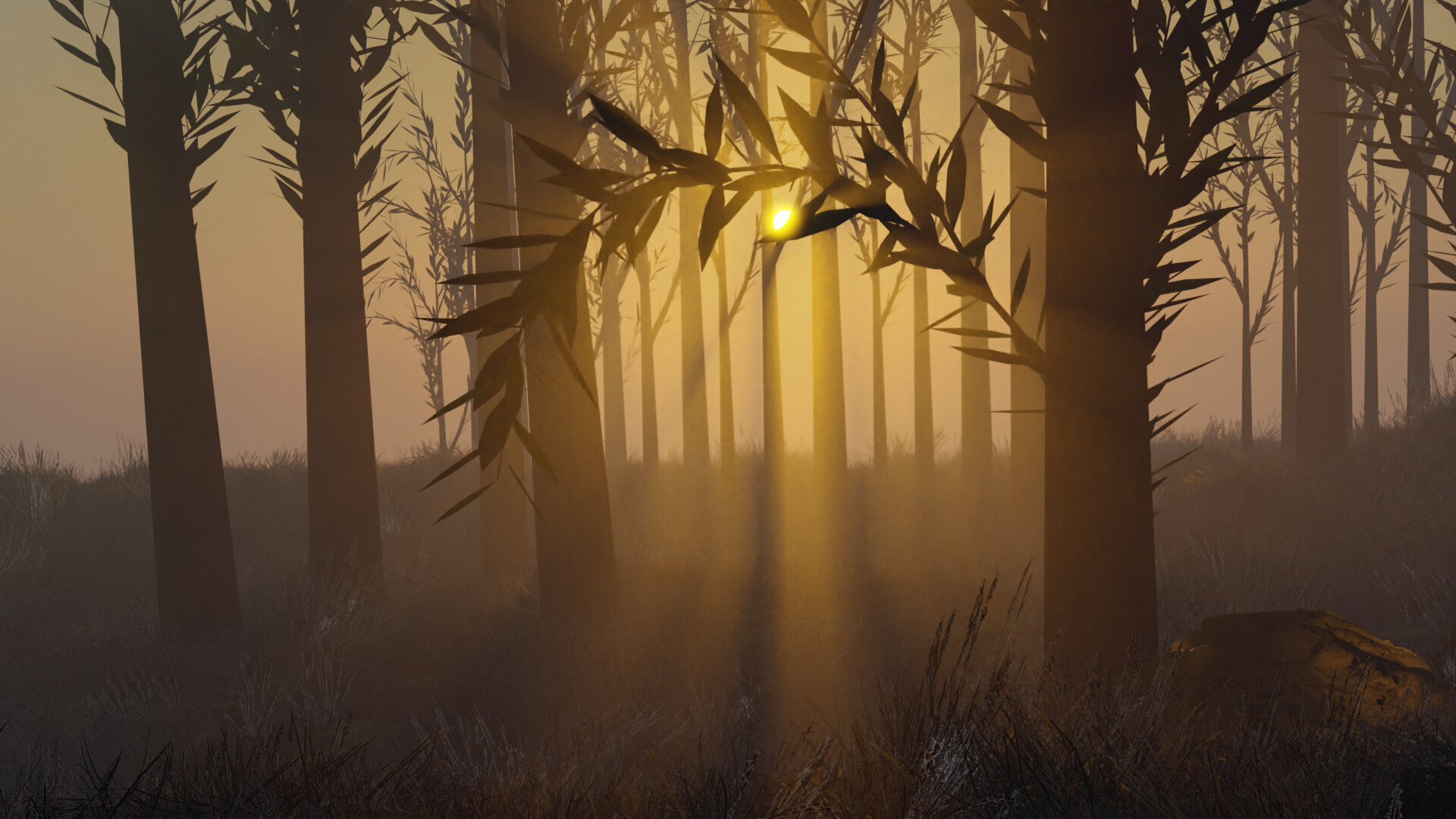 ArtStation - Sunrise