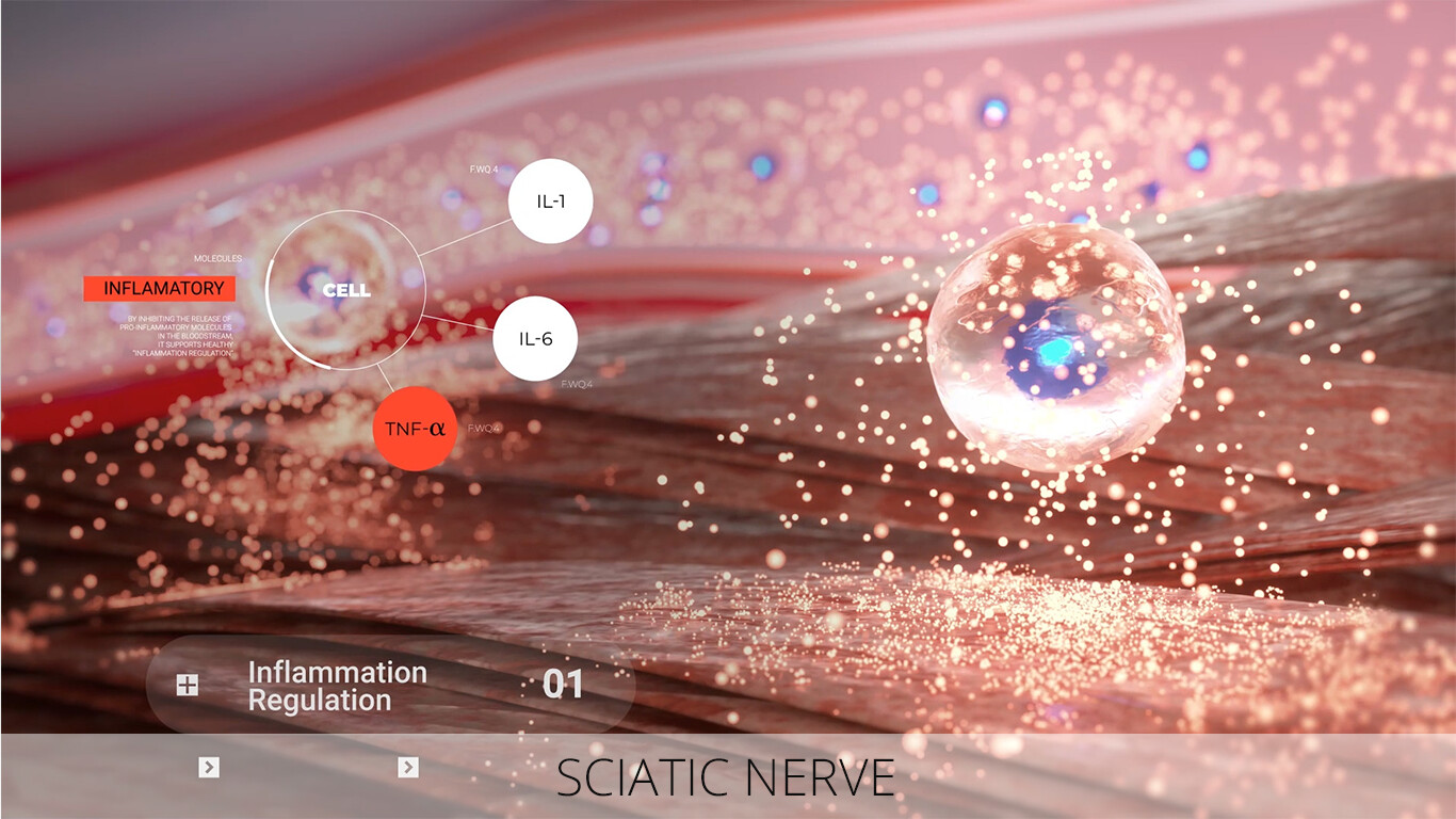 ArtStation - Product Animation - Sciatic Nerve Medicine