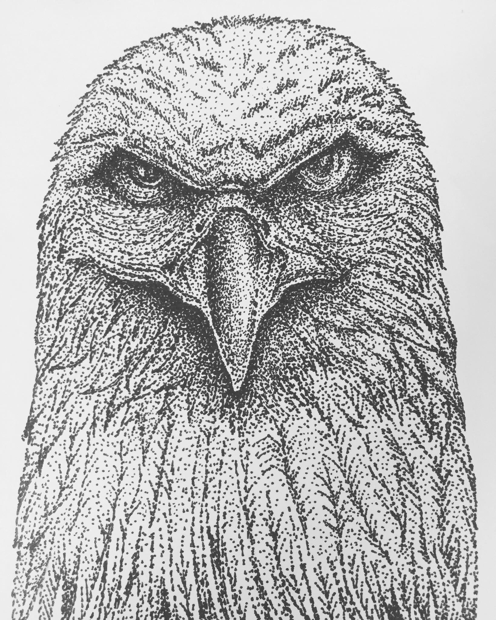 ArtStation - Dot art_Animal