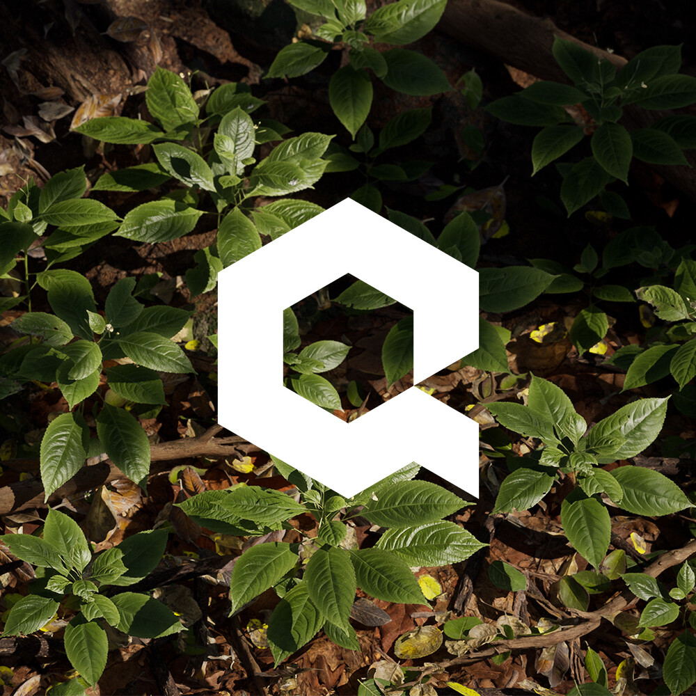 ArtStation - Small Balsam - Quixel (3D Plant)