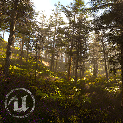 ArtStation - The Witcher 3 Inspired Forest Environnement.