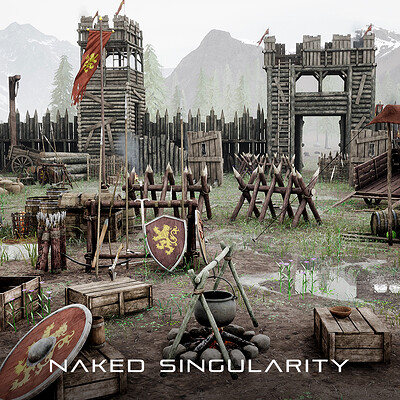 Naked Singularity Studio