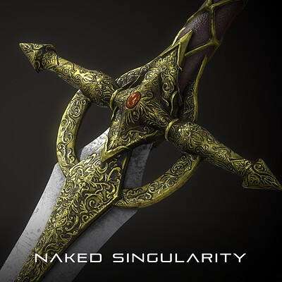 Naked Singularity Studio