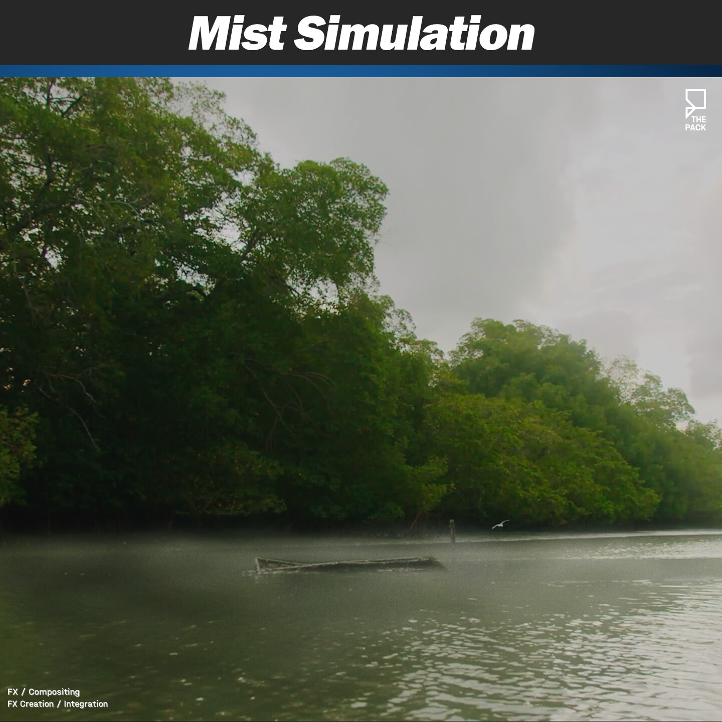 ArtStation - Mist Simulation